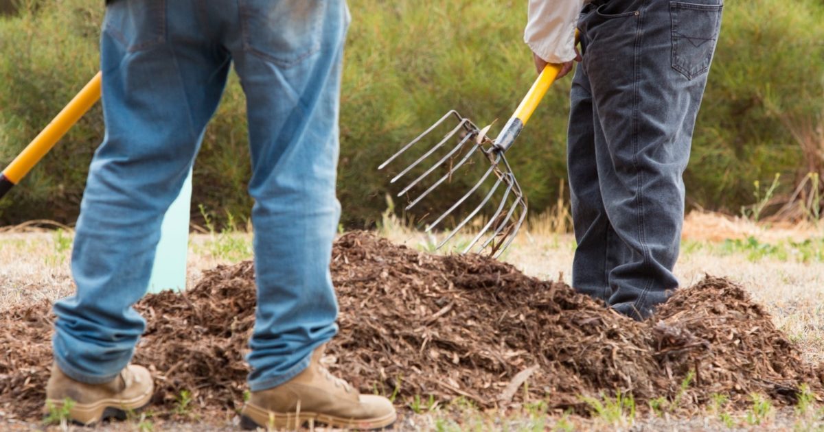 Fire safety and advice • The Barossa Council