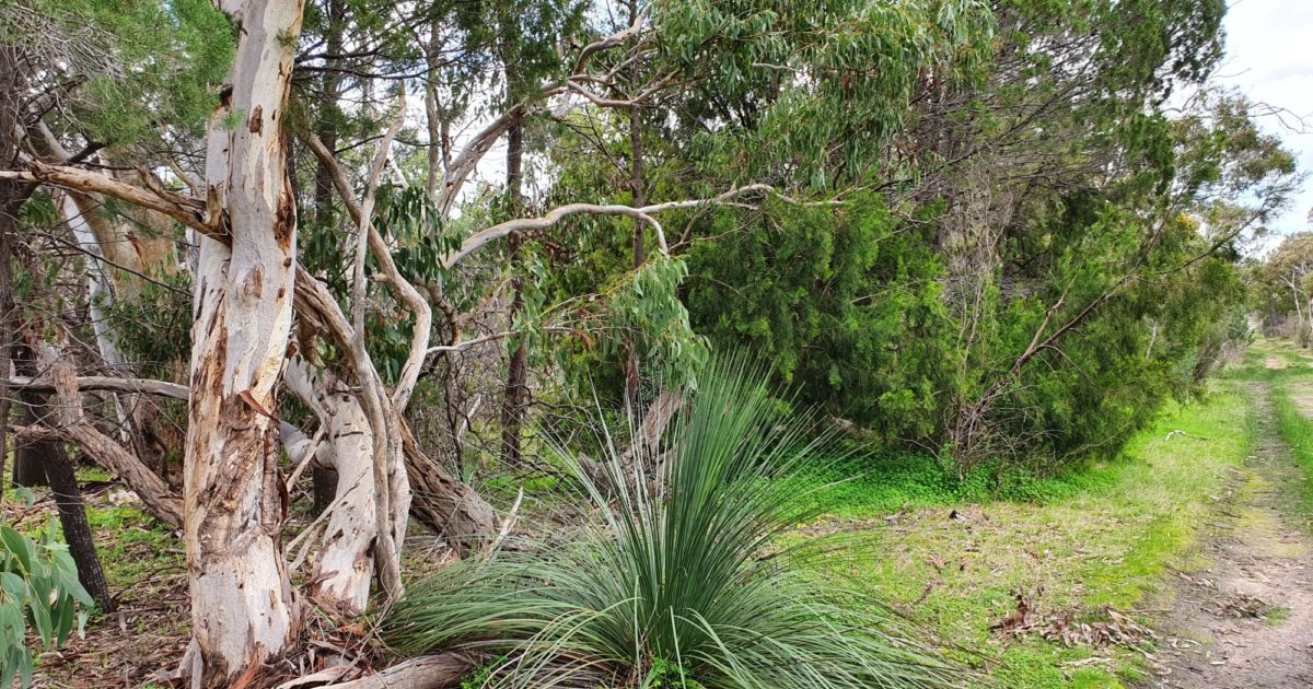 Conservation parks • The Barossa Council