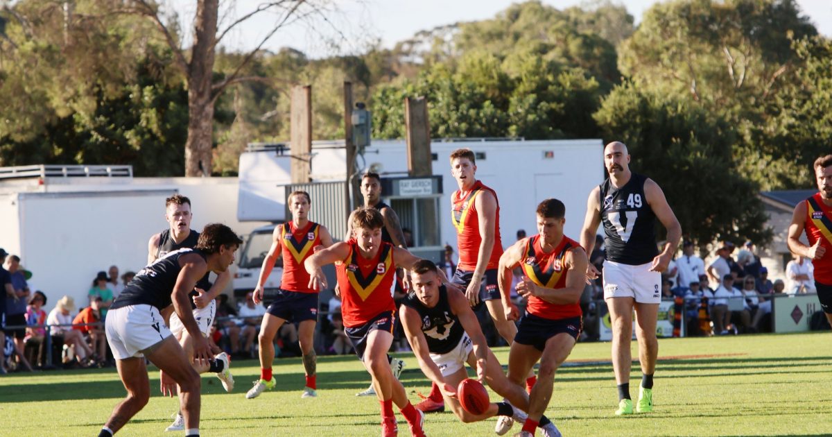 Blockbuster footy line-up at Barossa Park in July 2026 • The Barossa ...